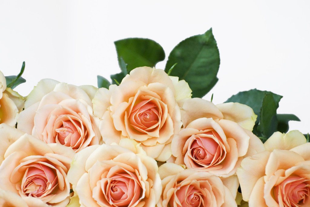 The Meaning of Roses by the Number - Freytags Florist - Freytags Florist